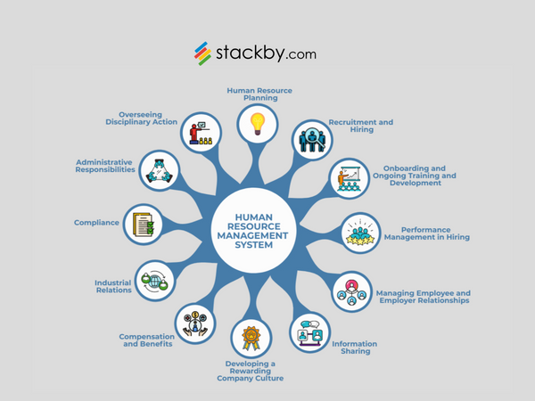 Top 12 functions of Human Resource Management - Stackby blog
