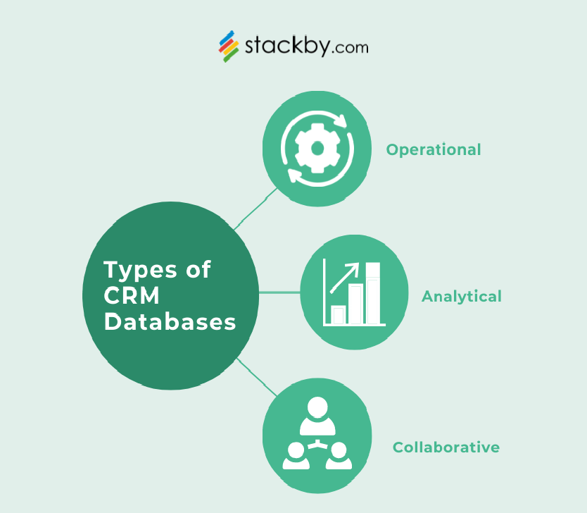 What is CRM Database - A Complete Guide to Customer Management [2024]